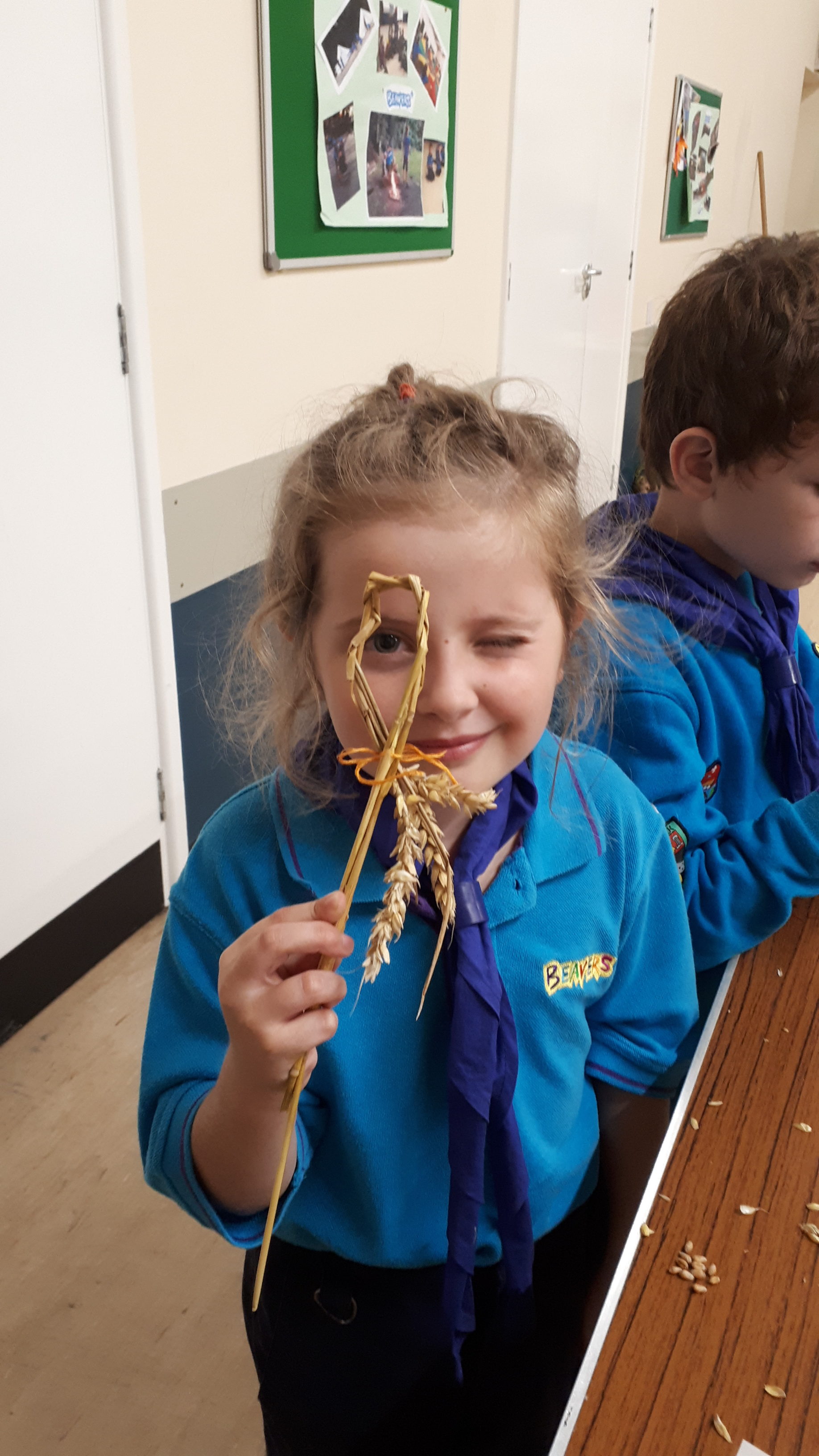 Taverham Beavers down on the farm / Northern Norwich Scouts / Skills ...